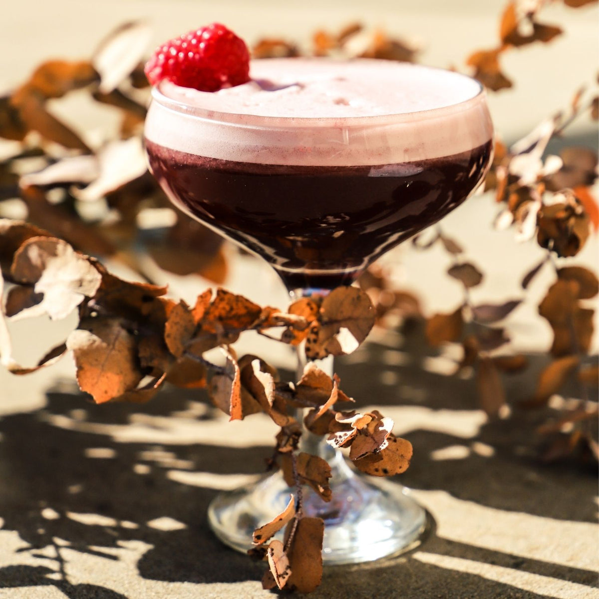 Raspberry Shrub Sour | Hilbilby Cultured Food