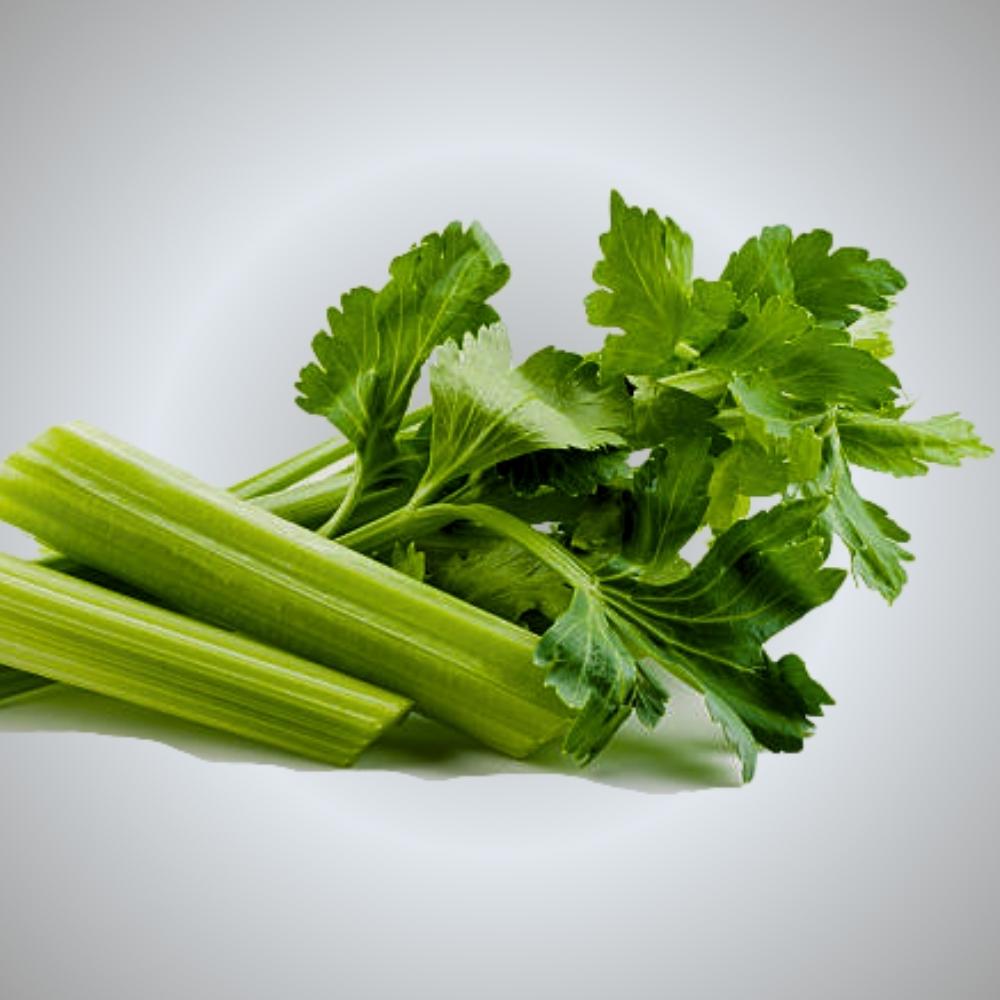 Fresh Celery ... FiRE TONiC™ ingredient #19 | Hilbilby Cultured Food